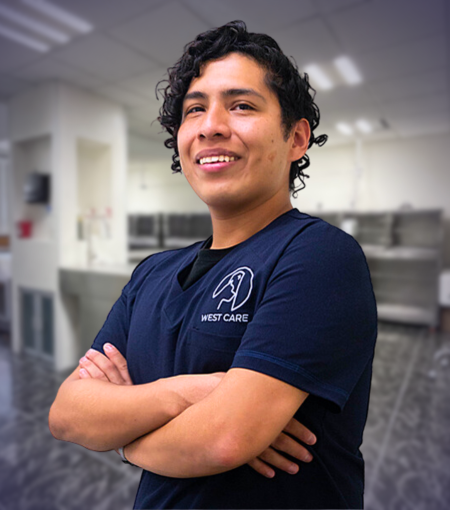 Quiénes Somos – Hospital Veterinario CDMX